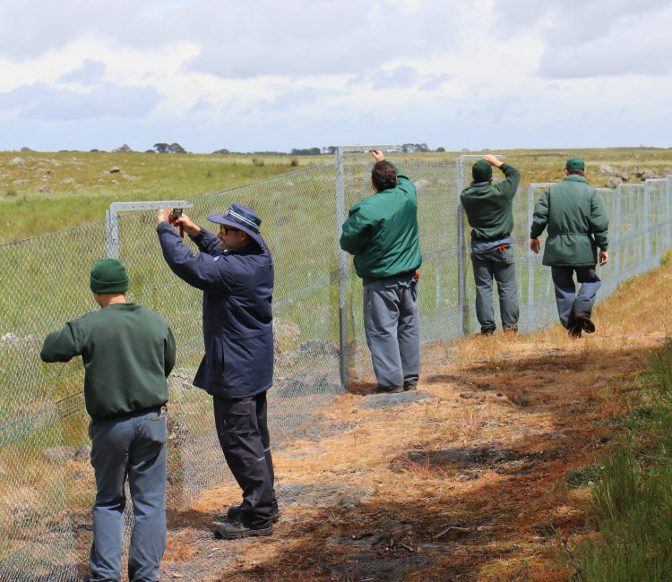 Our services | Landmate